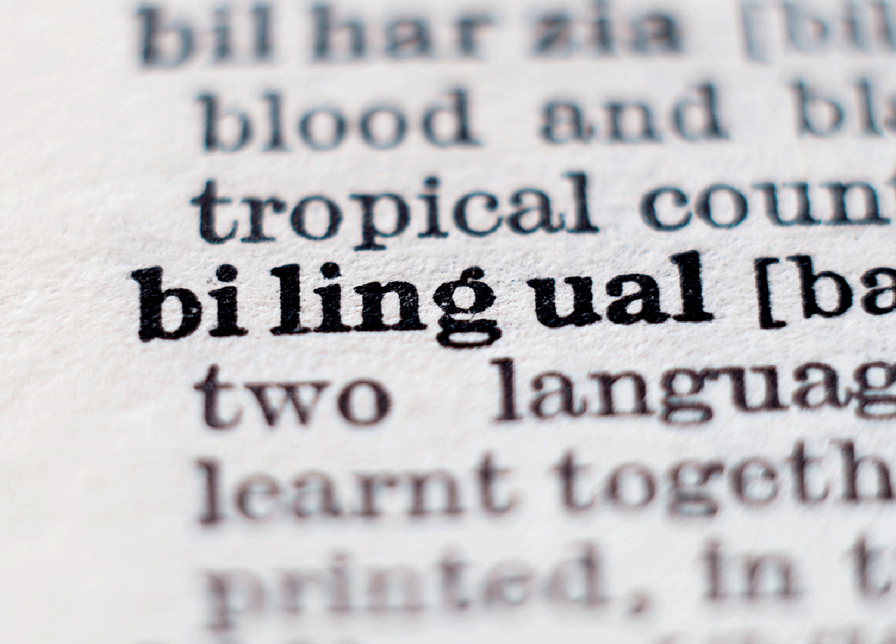 Diferenças entre EFL, Programa Bilíngue, Escola Bilíngue e Escola ...